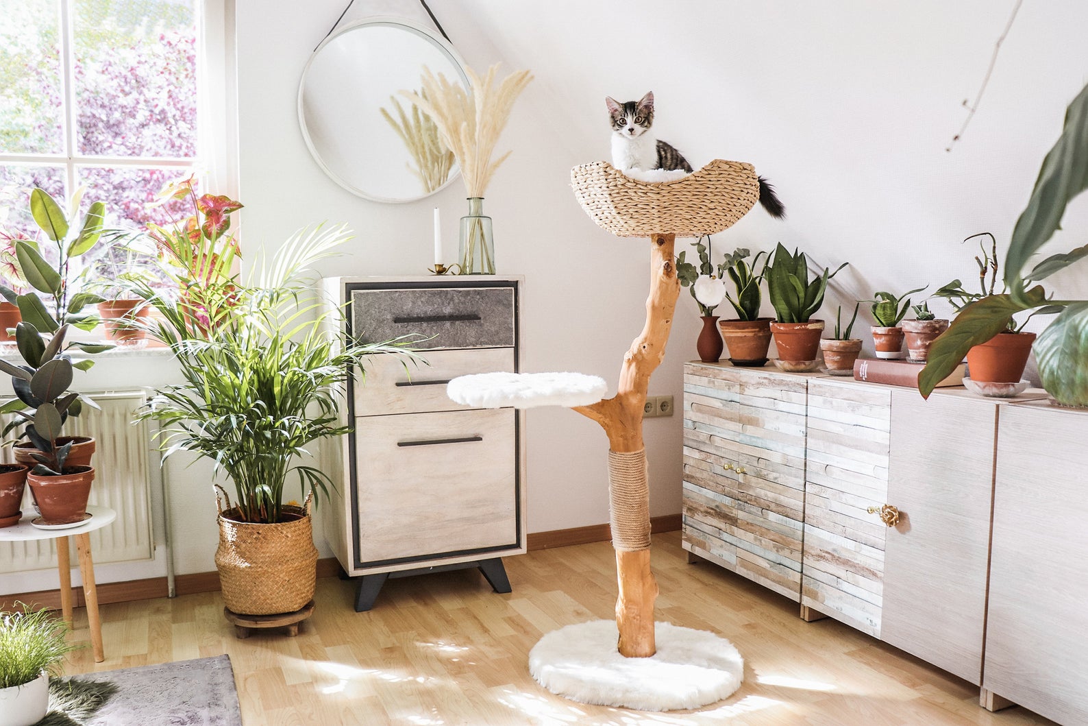 15 Cute Indoor Cat Towers That Look Like Real Trees And Where To Buy