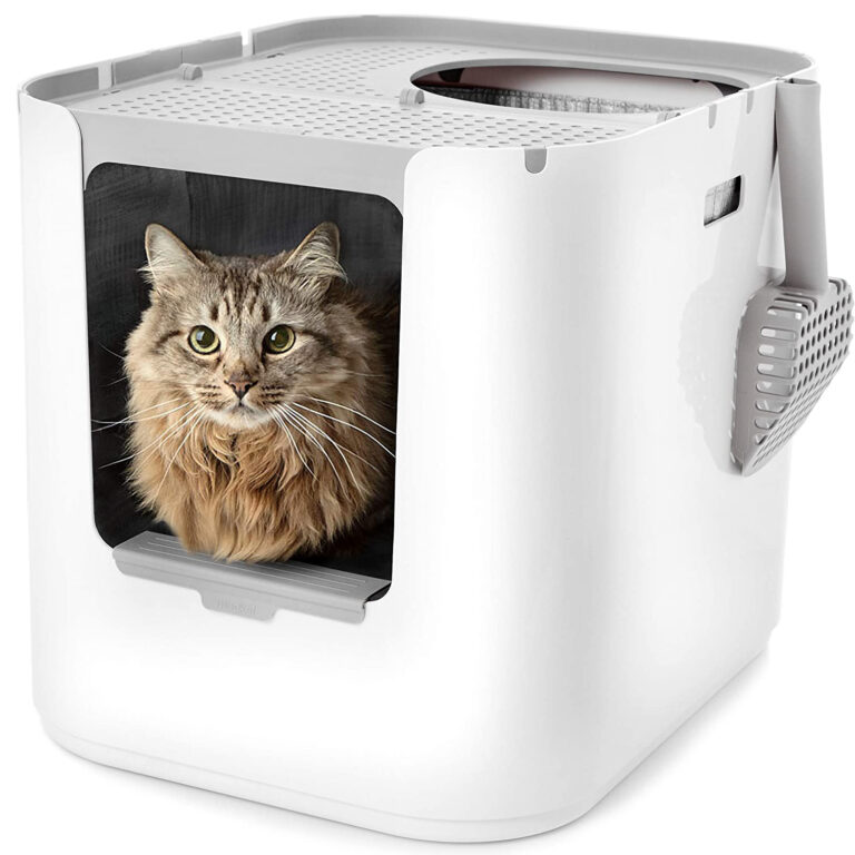 15 Extra Large Litter Box Options With High Sides - Whiskers Magoo 15 Extra Large Litter Box Options With High Sides - Whiskers Magoo