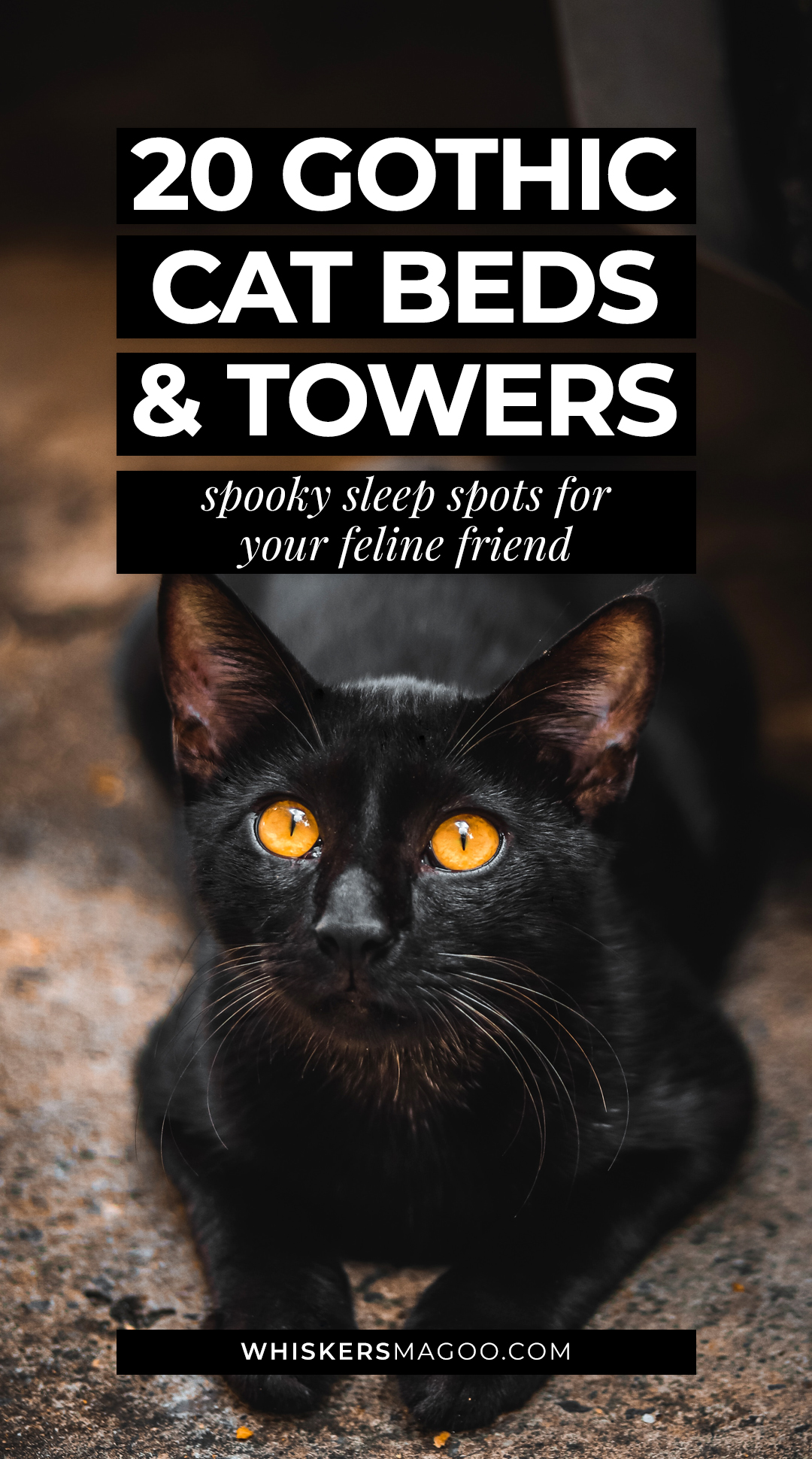 20 Gothic Cat Beds And Towers You And Fluffy Will Love Whiskers Magoo